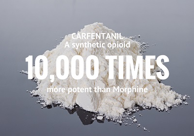 Morphine Drug Powder