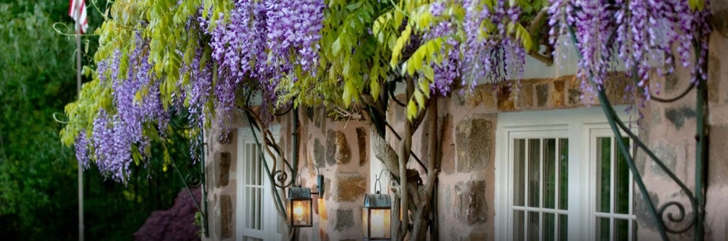 Turnbridge History - Turnbridge